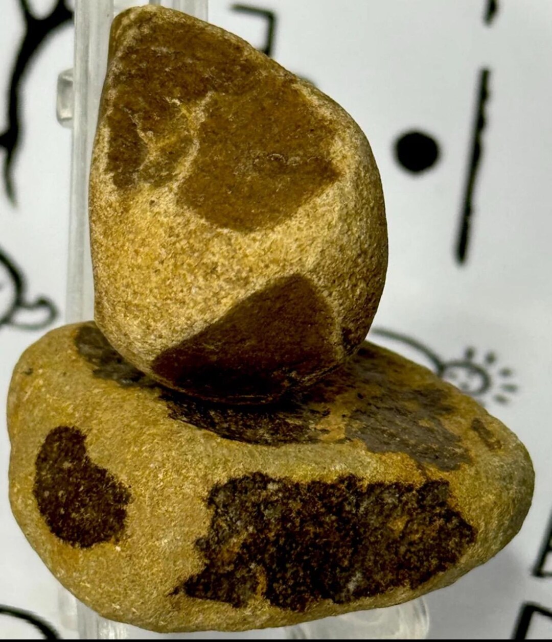 Authentic Native American Carved Stone Tools - Virginia Artifacts (2 ...
