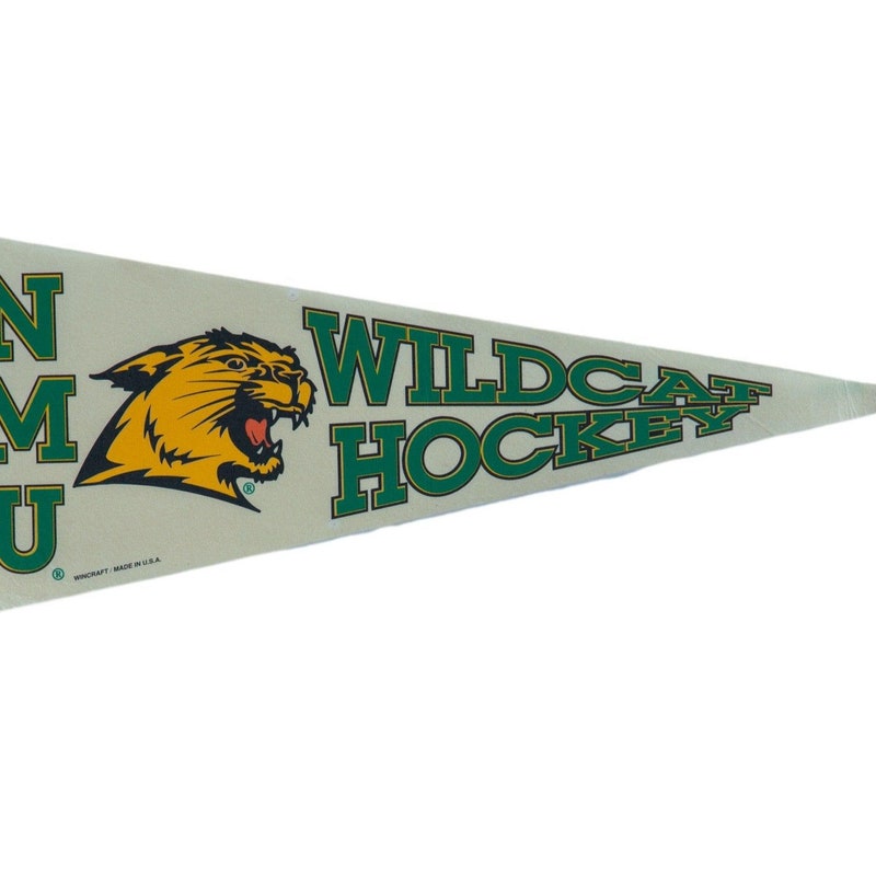 Michigan Felt Pennants - Etsy