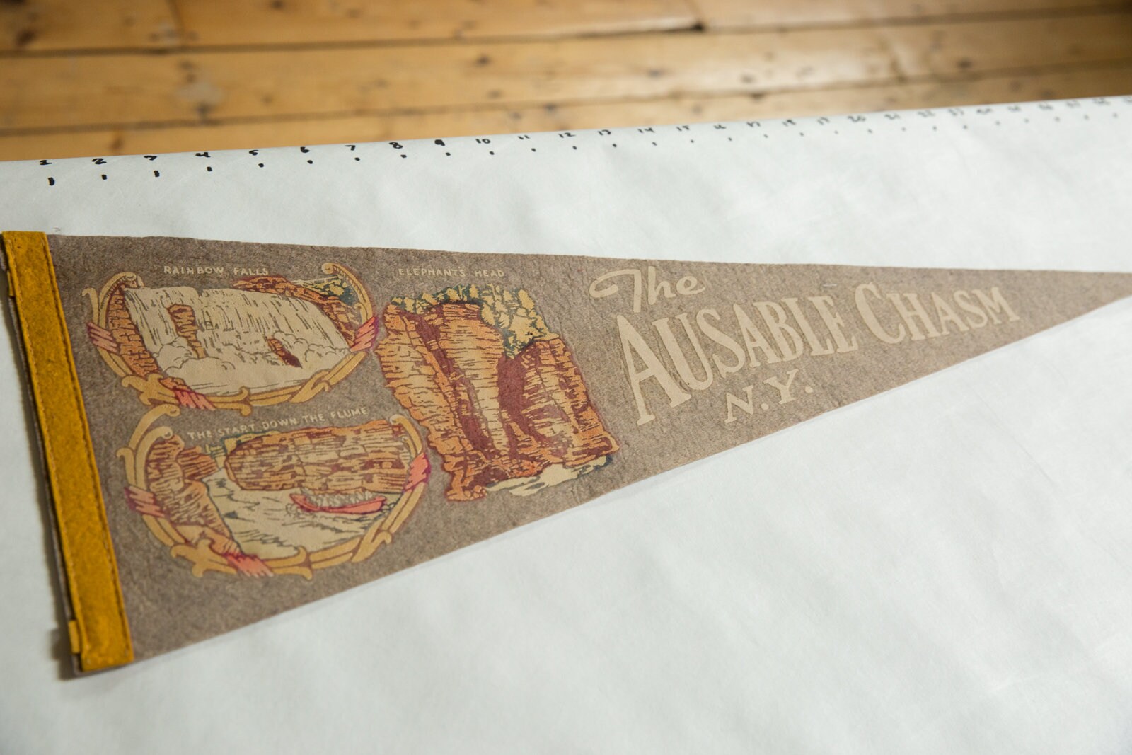 Vintage the Ausable Chasm N.Y. Felt Flag Pennant - Etsy