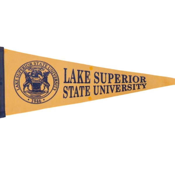 Custom University Pennant Flag - Make Your Own University Pennant Flag