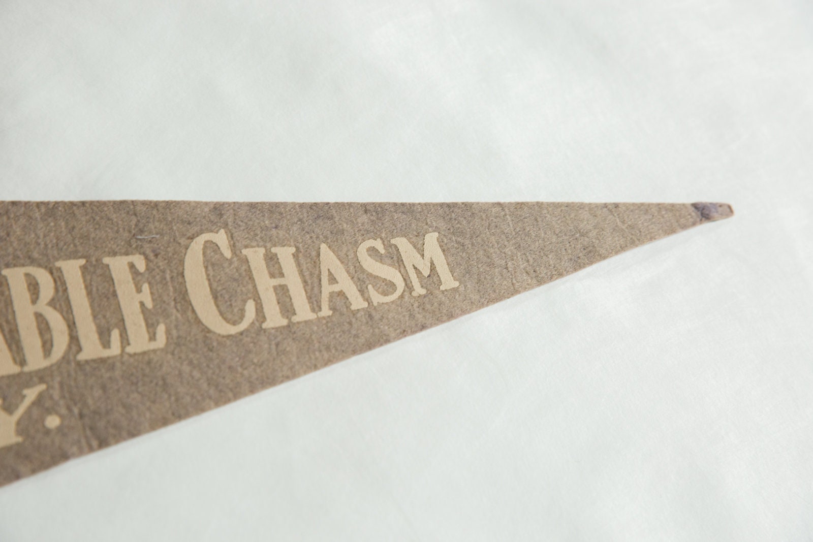 Vintage the Ausable Chasm N.Y. Felt Flag Pennant - Etsy