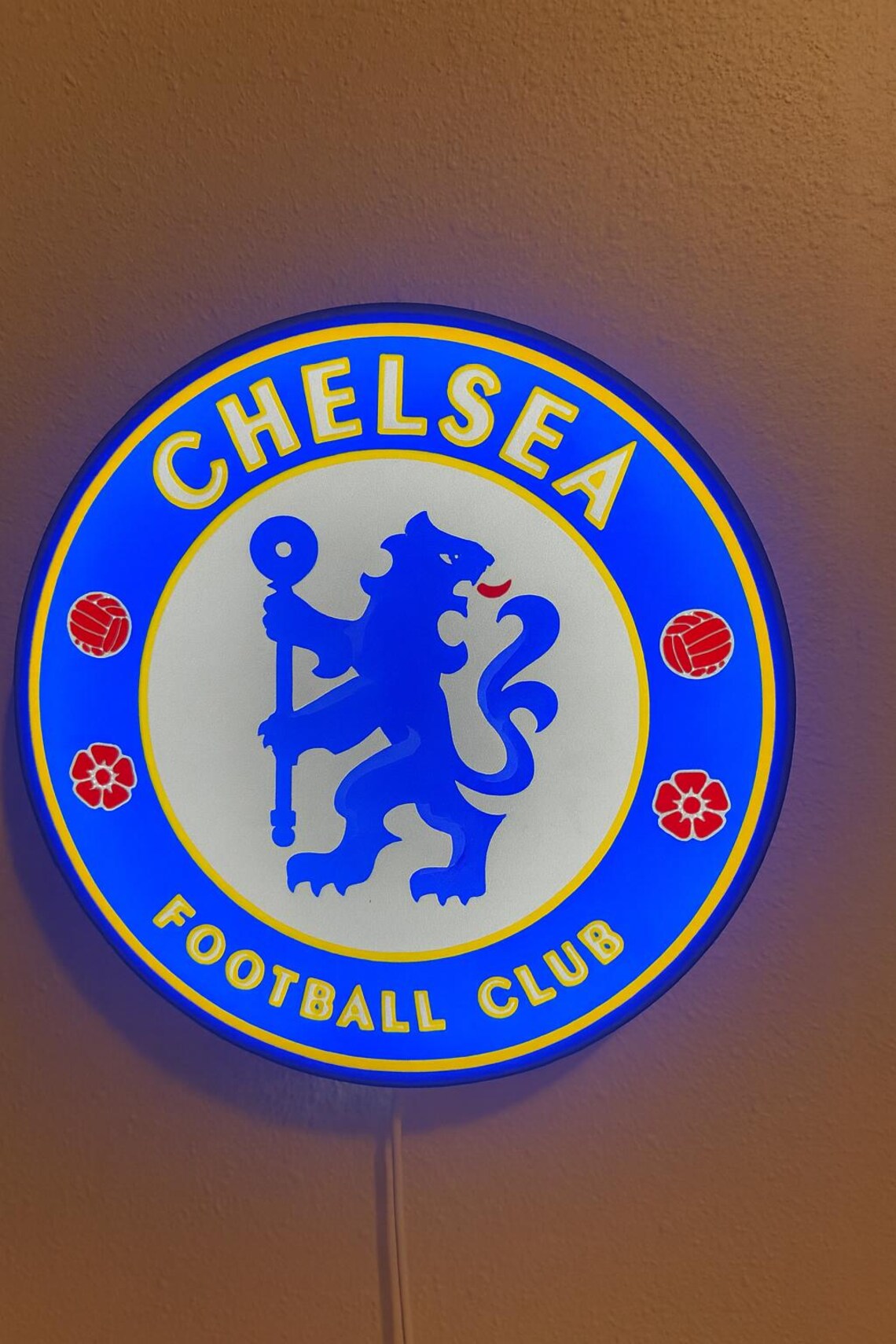 Custom 3D Printed Lightbox: Team Logo LED Sign - Etsy