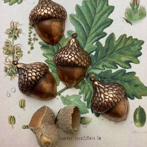 4 Acorns With Hoops, 30mm-1 1/4 Inch, Antique Brass - Etsy
