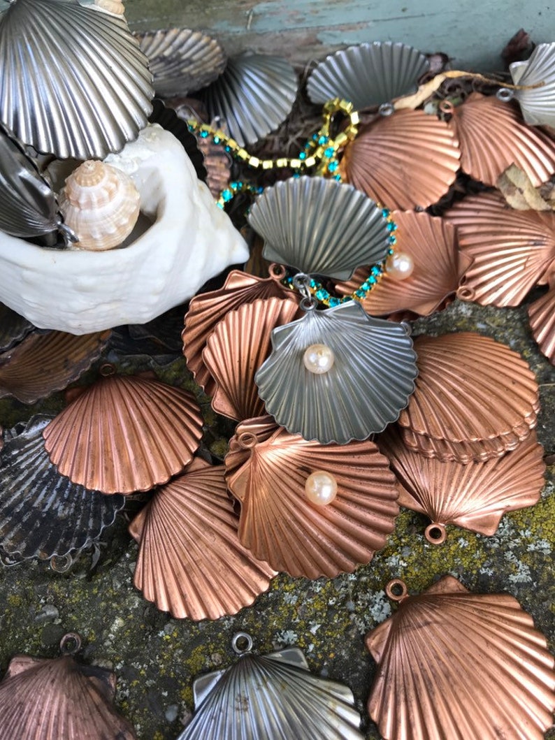 8 Scallop Shells Dirty Or Clean | Etsy
