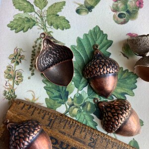4 Acorns With Hoops, 30mm-1 1/4 Inch, Antique Brass - Etsy