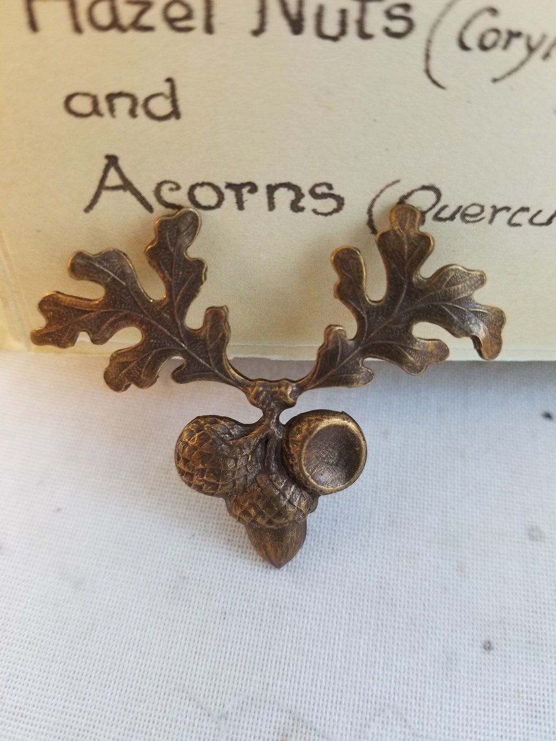Vintage Brass Acorns and Oak Leaf Findings , Antique Brass, A Sign of ...
