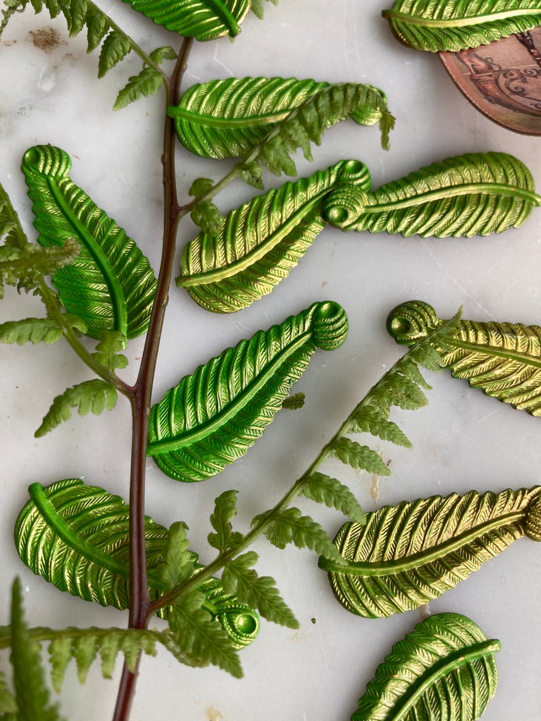 12 Vintage Fern Brass Classic Leaves - Etsy