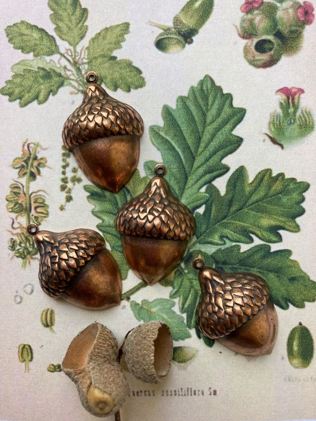 4 Acorns With Hoops, 30mm-1 1/4 Inch, Antique Brass - Etsy