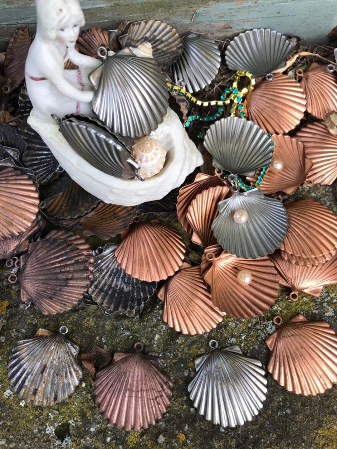 8 Scallop Shells, Dirty or Clean - Etsy