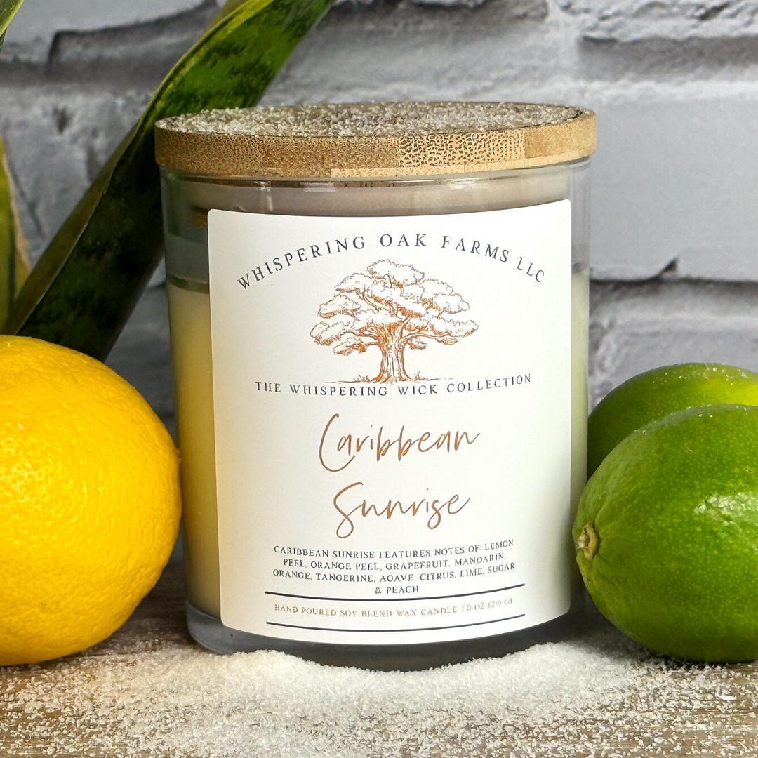 Citrus Scented Candle | Soy Blend Wax Wood Wick | Handmade | Caribbean ...