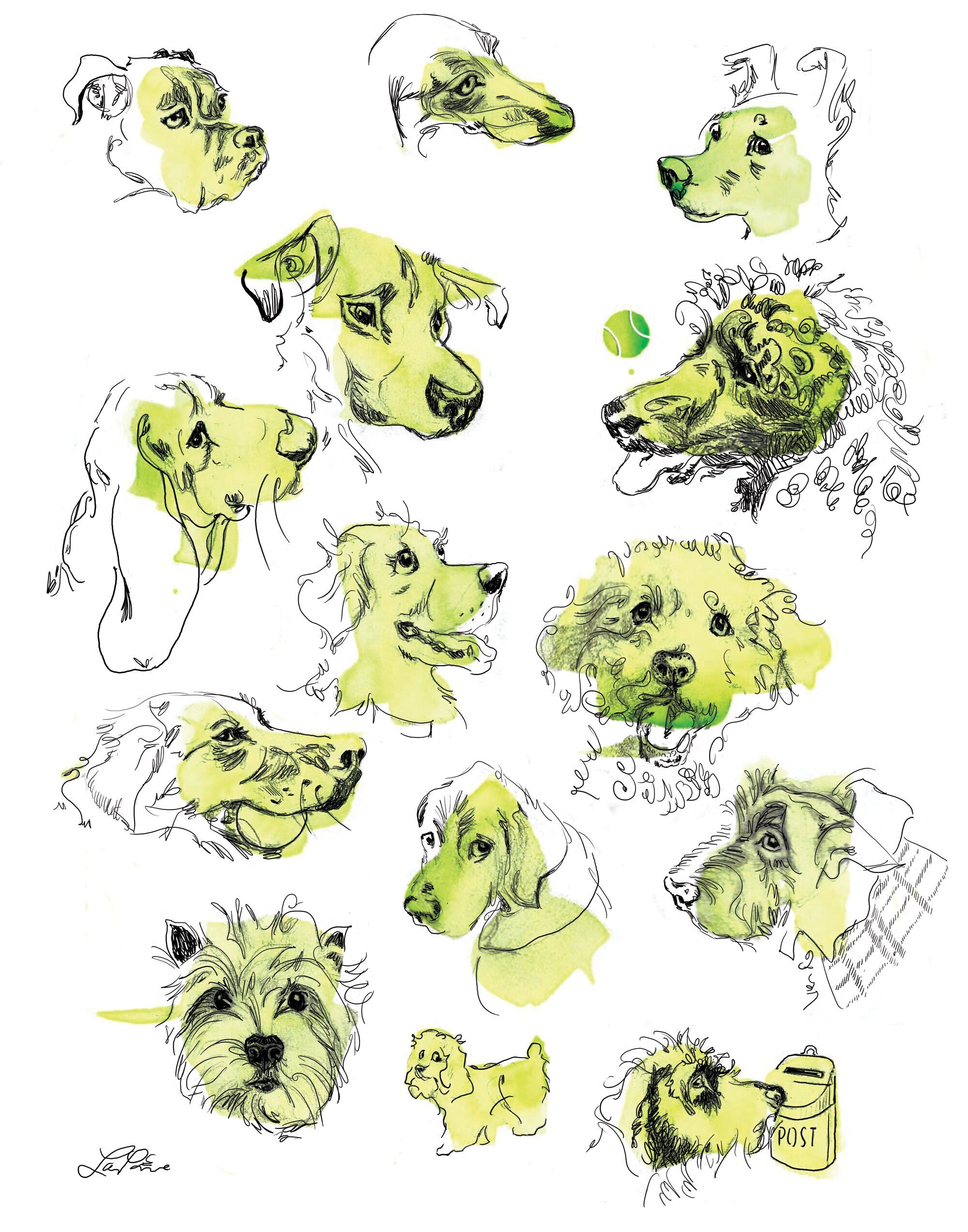 Modern Art Print With Dog Theme, Dog Illustration, Golden Doodle ...