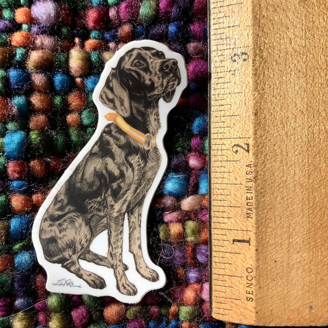 German Shorthaired Pointer Sticker, 3” Die Cut Vinyl Decal, Hunting Dog ...