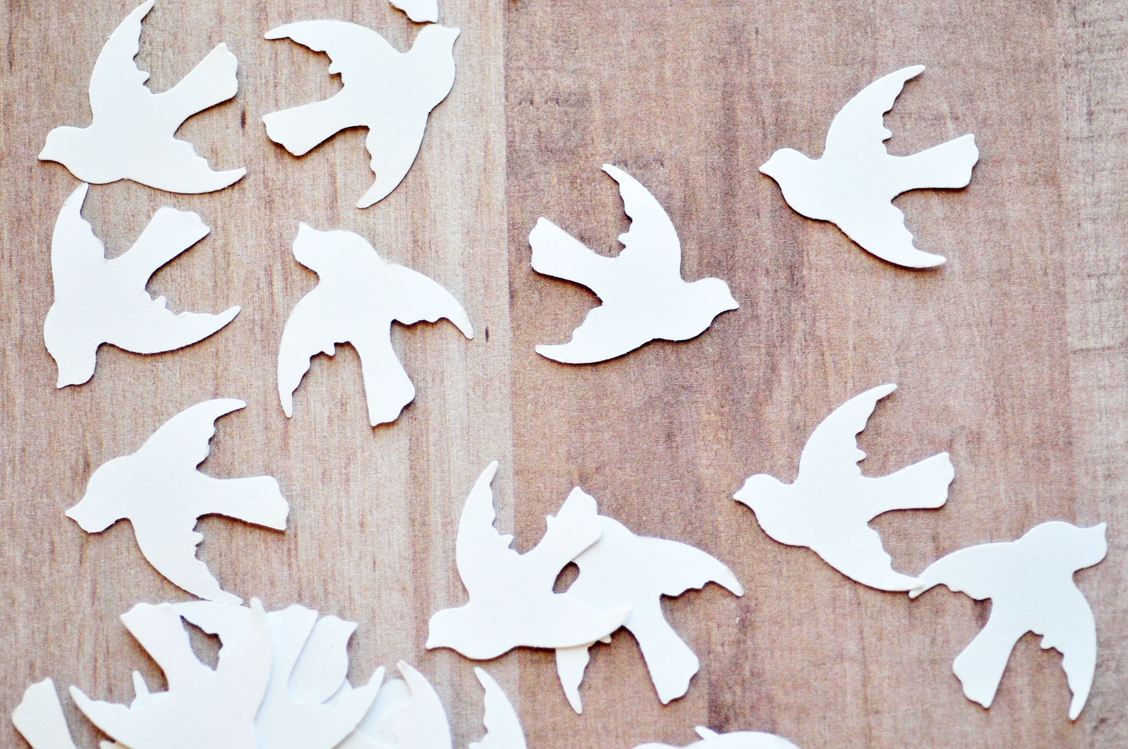 Bird Cutouts // Set of 50 // Embellishments // Confetti // - Etsy