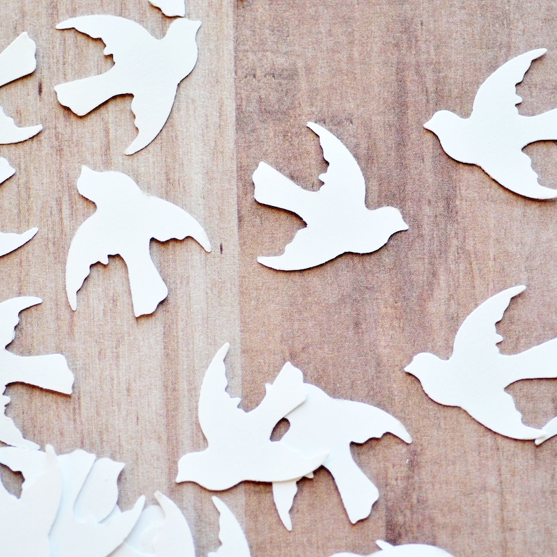 Paper Bird - Etsy