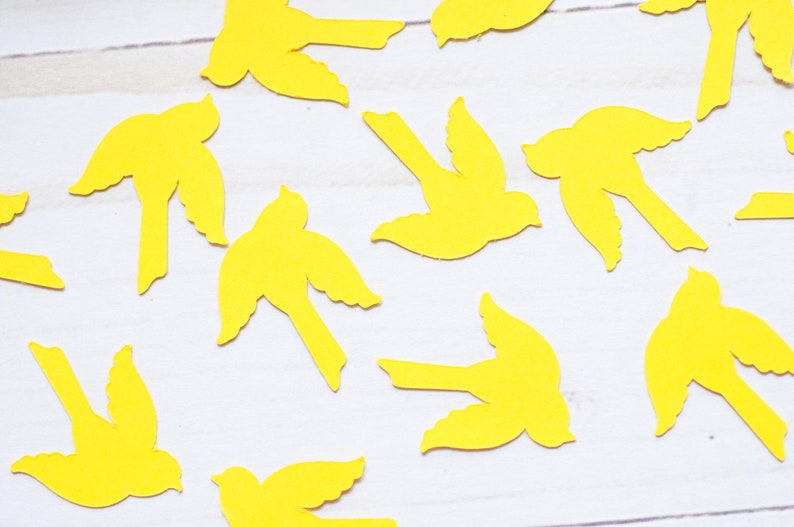 50 Paper Bird Cutouts – Double-sided Embellishments in Multiple Sizes ...