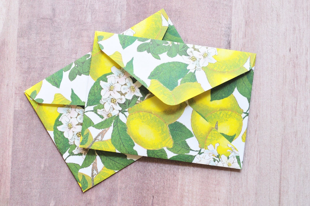 Lemon Mini Cards – Fruit Pattern Envelopes for Gift Bags, Love Notes ...