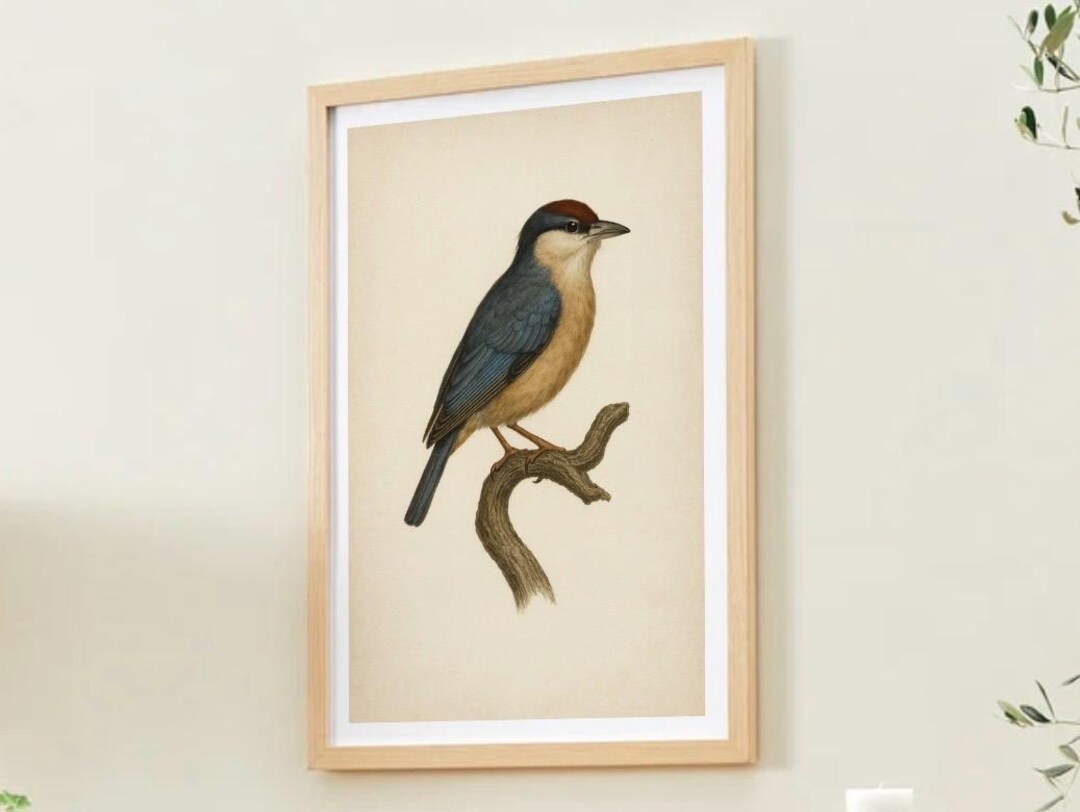 Nutfinch Wall Art Printable | Vintage Illustration | British Bird ...