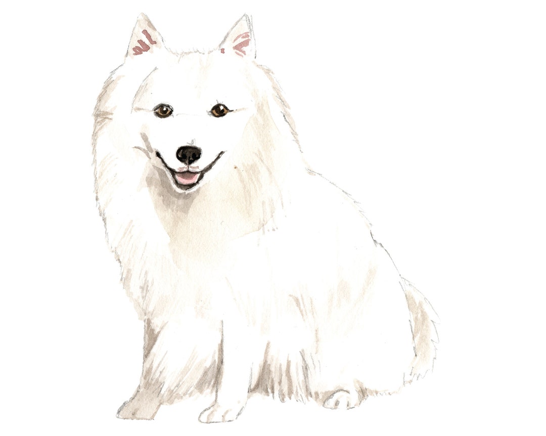 Japanese Spitz Dog Wall Decal - Etsy