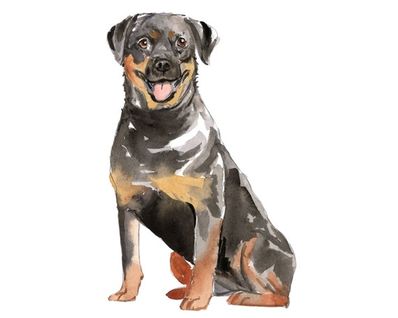 Rottweiler Dog Wall Decal - Etsy