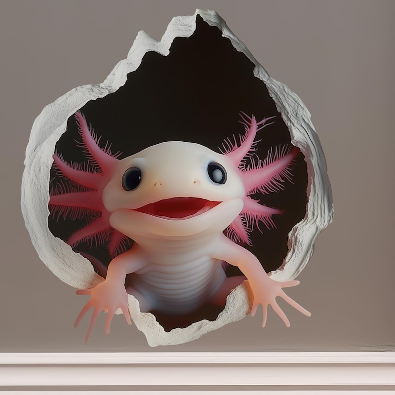 3d Wall Decal Corner - Etsy