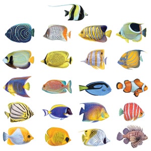 Tropical Fish Decals Set of 21 - Etsy