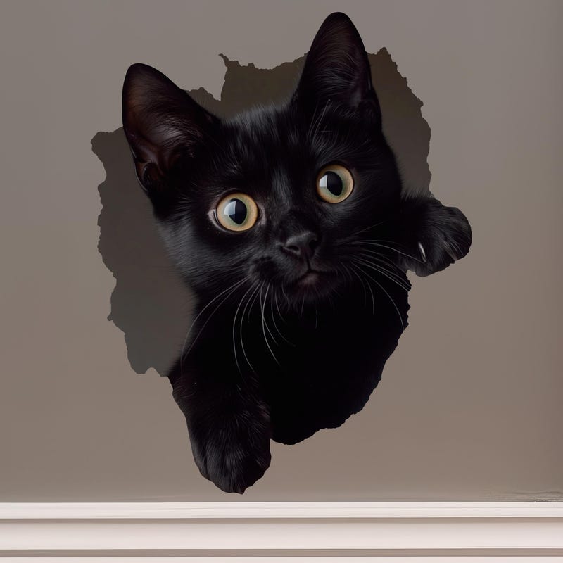 Cat Decal - Etsy