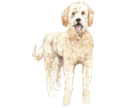 Goldendoodle Dog Wall Decal | Etsy