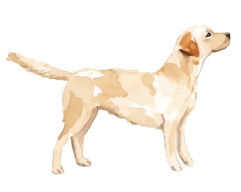 Dog Wall Decal Labrador Retriever 3D Smashed Wall Art Sticker Kids Room ...