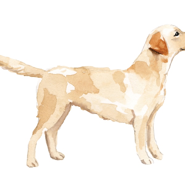 Labrador Retriever Wall Decal - Etsy
