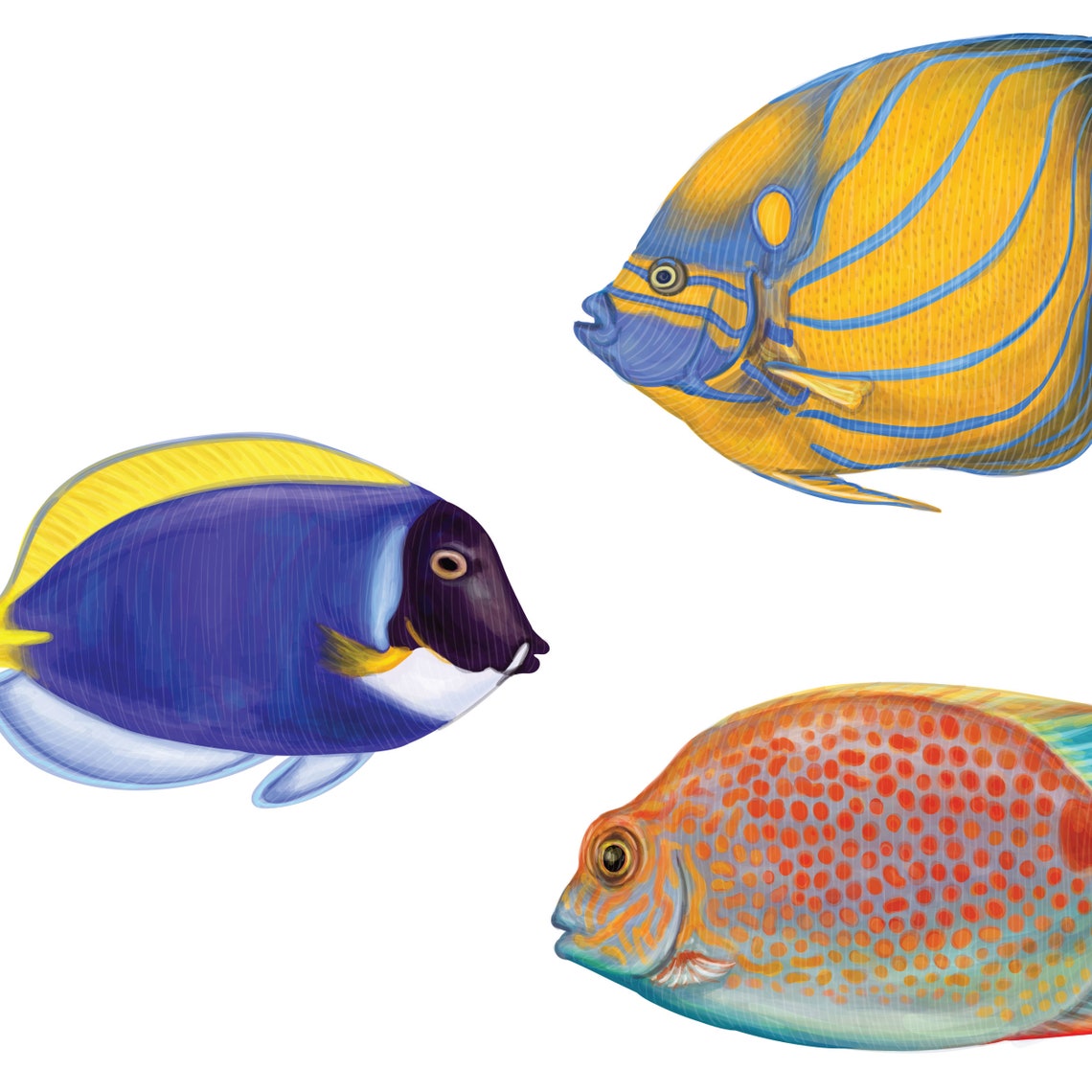 Tropical Fish Decals Set of 11 | Etsy