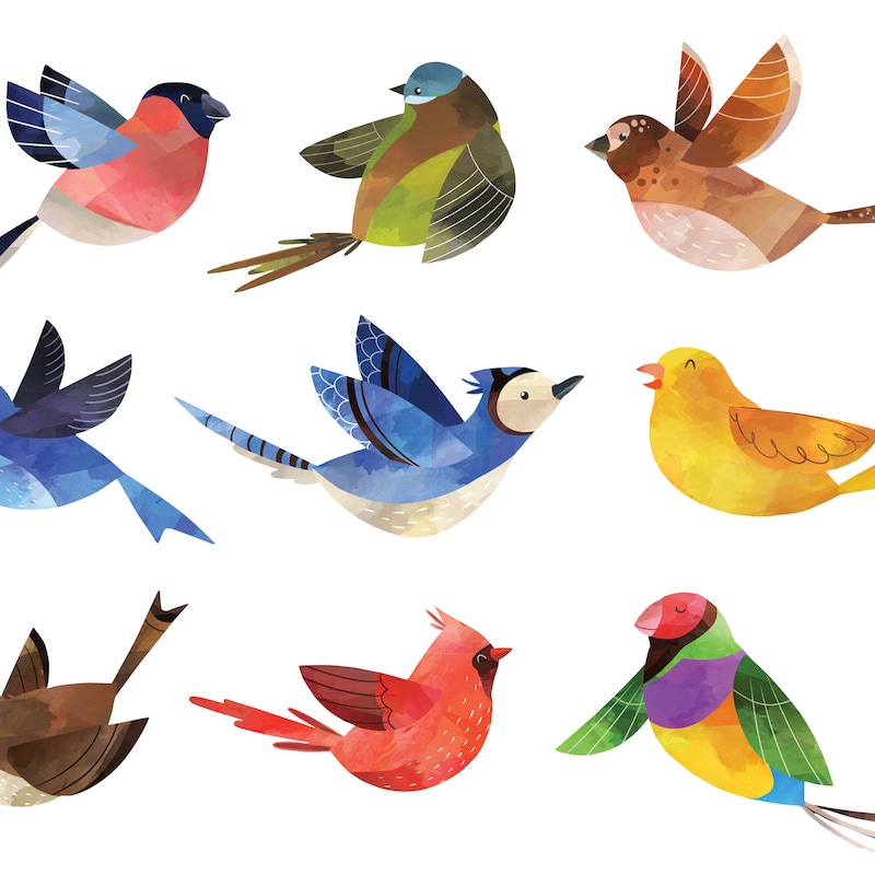 Bird Wall Mural - Etsy