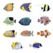 Tropical Fish Decals - Set of 11 - Etsy