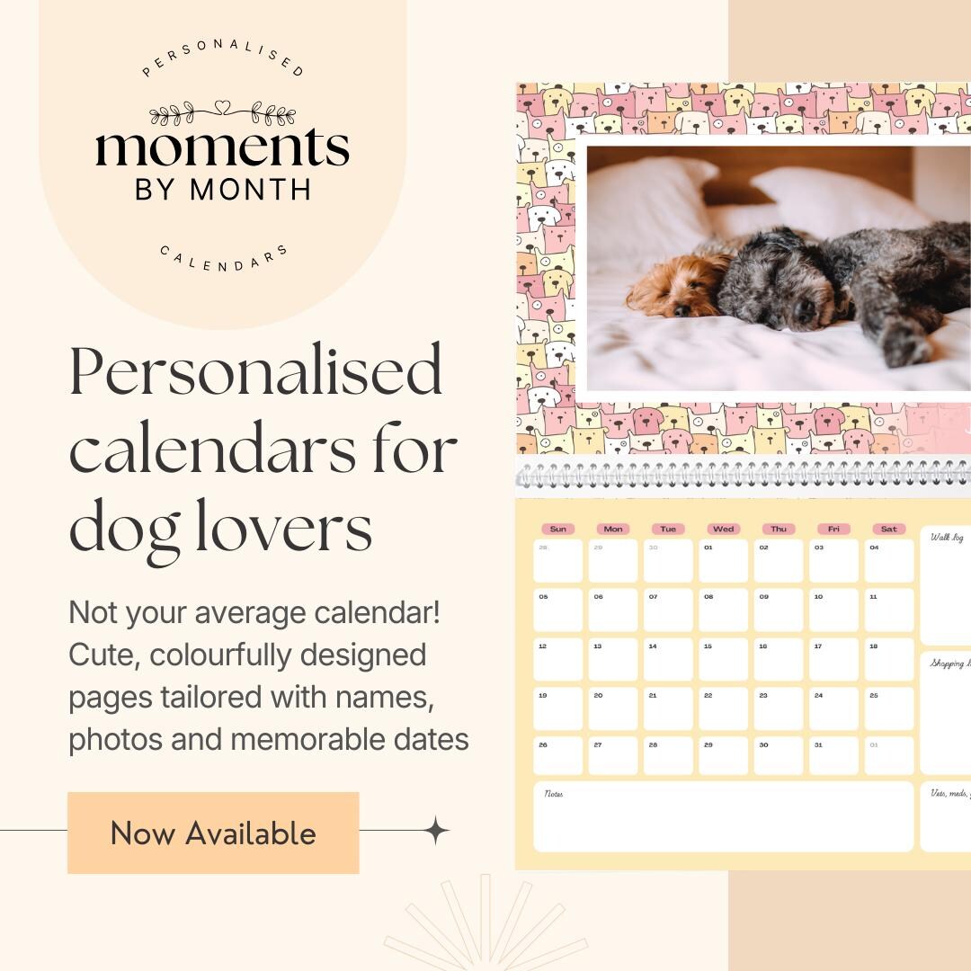Colourful Custom Dog Calendar 2026 | Pet Photo Christmas Gift ...