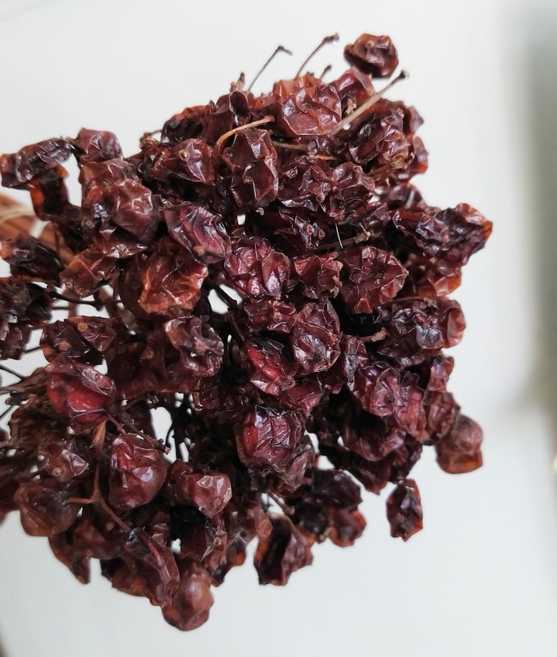 Dried Organic Red Viburnum Berries 50 G or 100 G, Guelder Rose ...