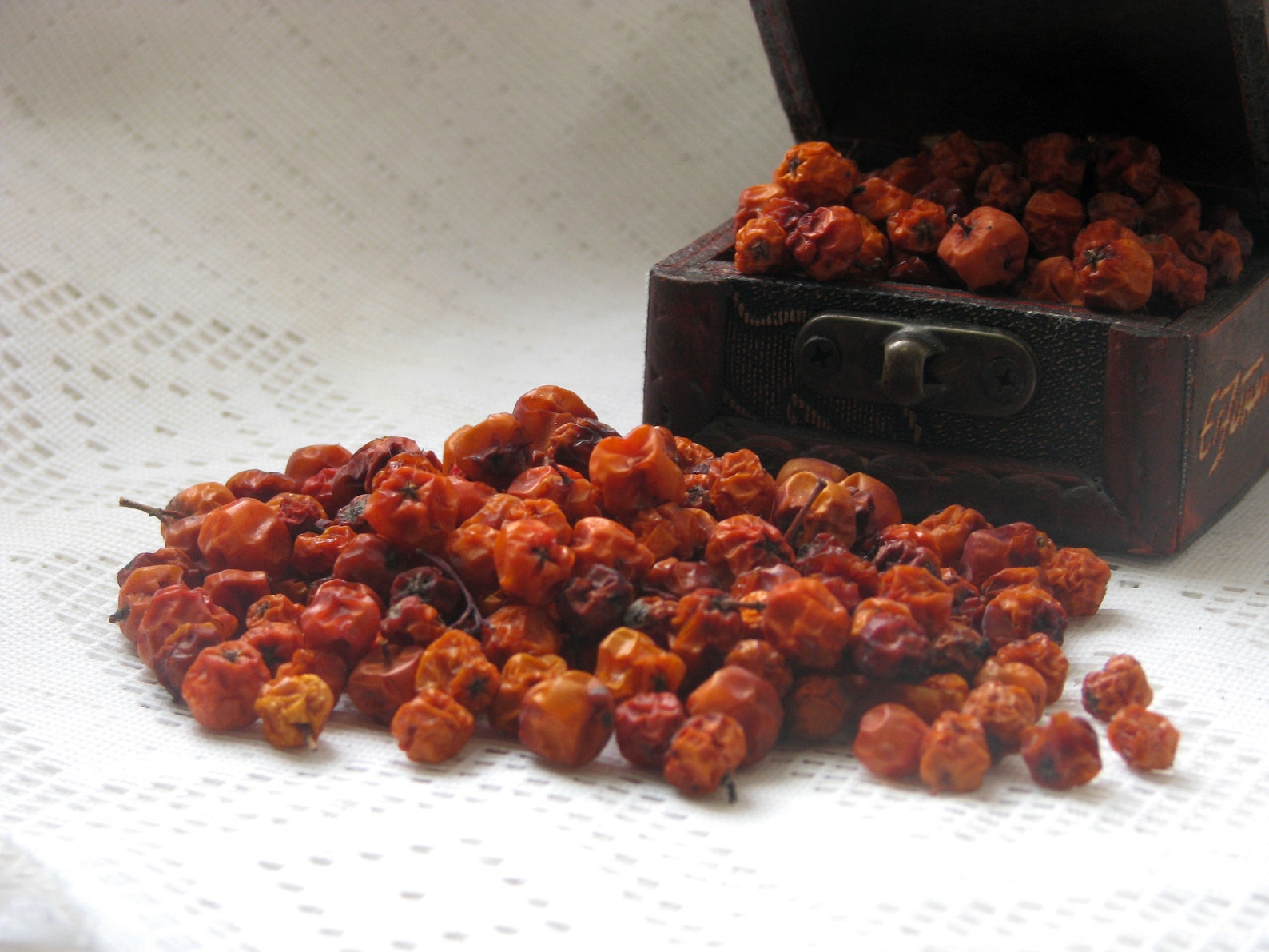 Dried Organic Rowan Berries 50 G or 100 G, Mountain Ash Berries sorbus ...