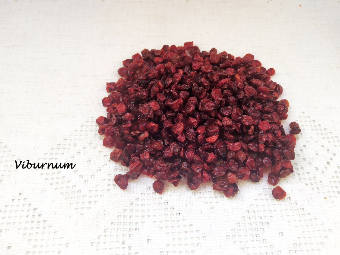 Dried Organic Red Viburnum Berries 50 G or 100 G Guelder | Etsy