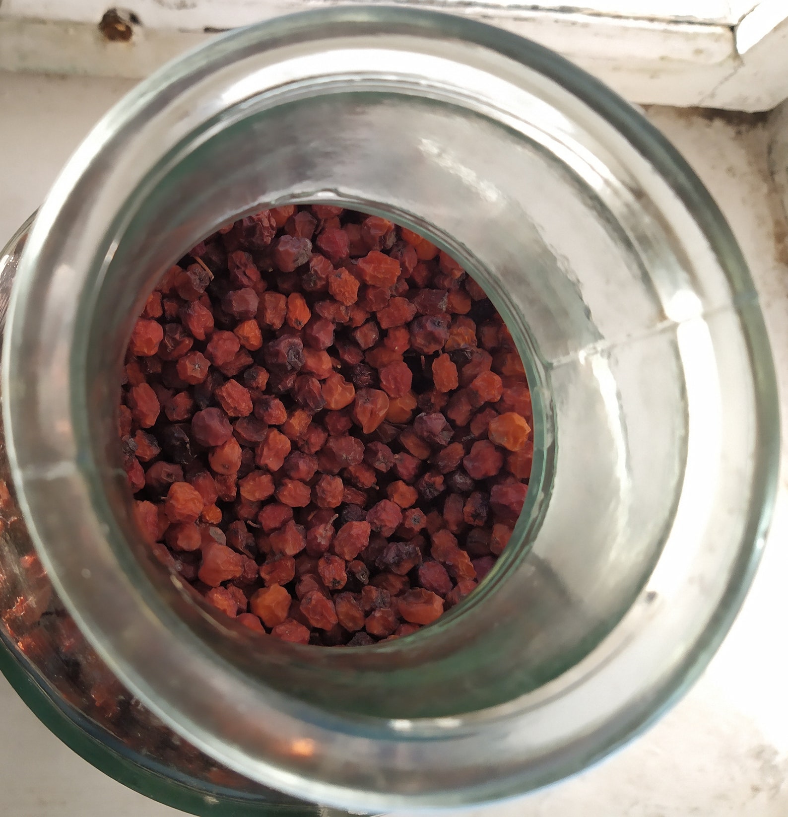 Dried Organic Rowan Berries 50 G or 100 G, Mountain Ash Berries sorbus ...