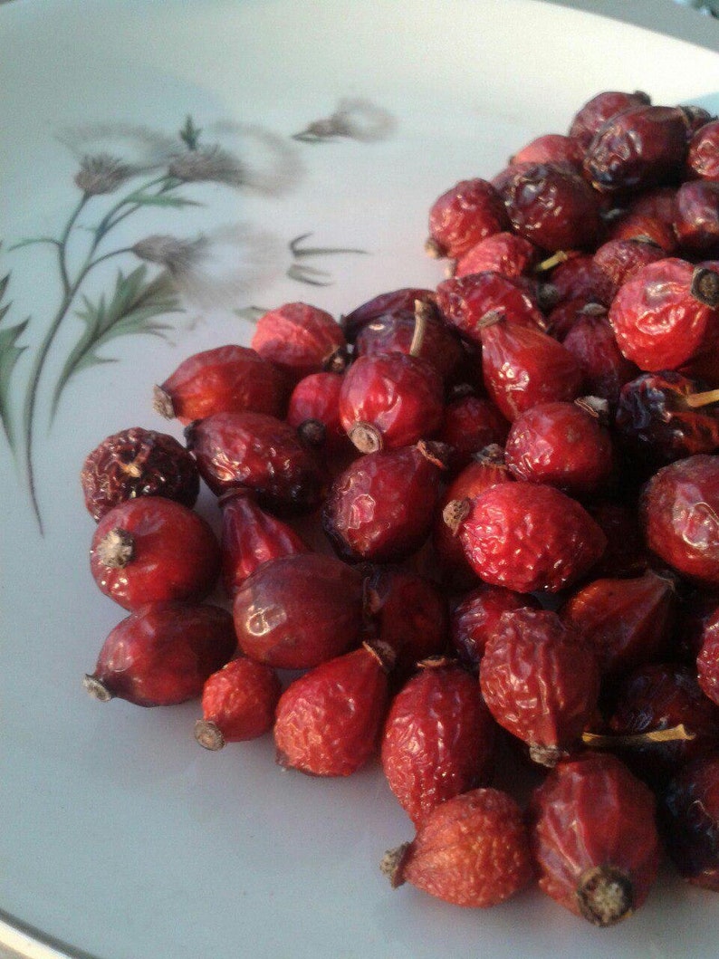 Dried Berries, Rose Hips, Rose Tea, Rosehips, Rosa Canina, Rose Hip Tea ...