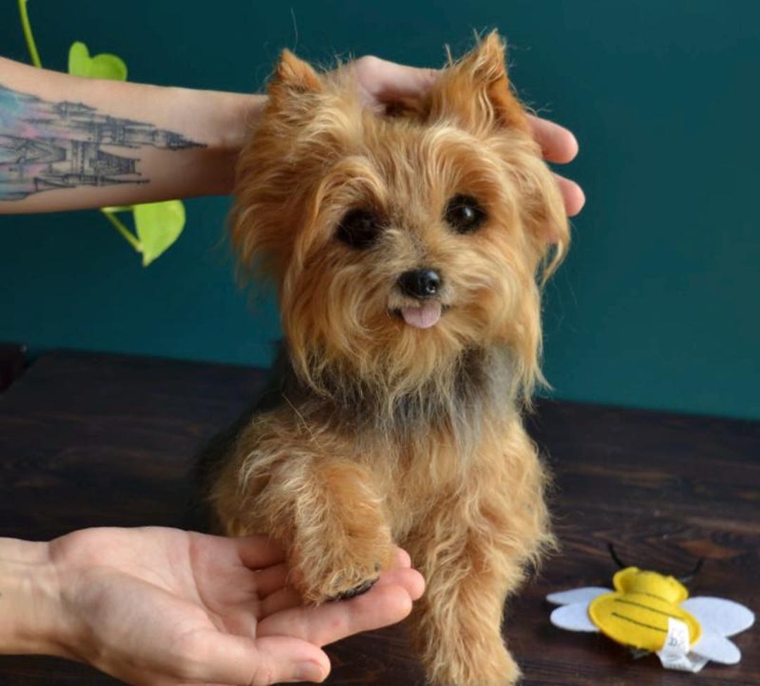 Yorkshire Terrier Needle Felted Dog Sculpture Custom Pet Portrait ...