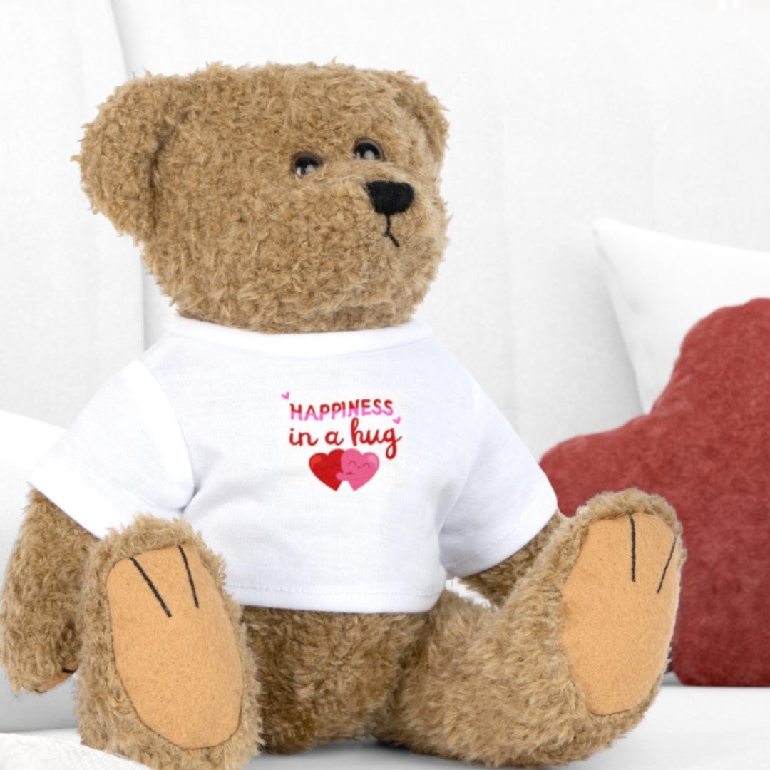Huggable Teddy Bear Plush Toy With T-shirt - Etsy