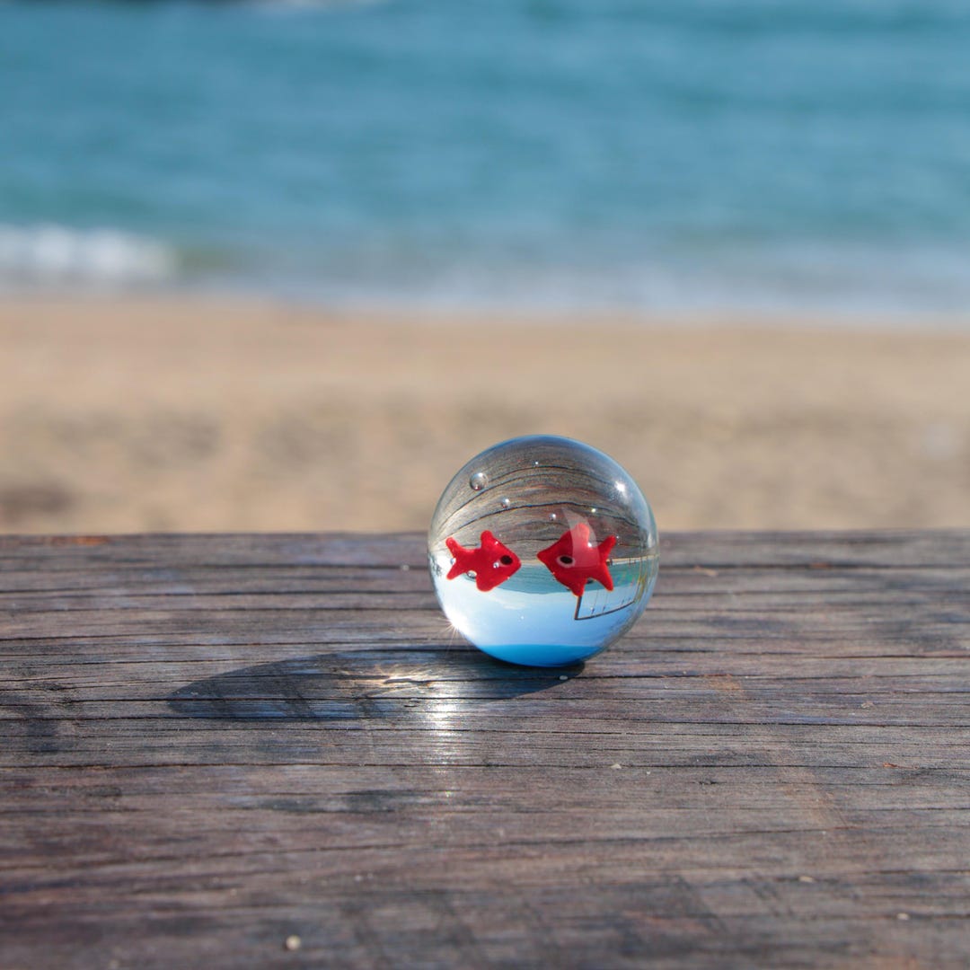 Hand-blown Glass Goldfish Sphere – Double Fish Figurine, Mini Ocean Art ...