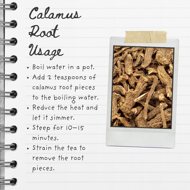 Calamus Root / Acorus Calamus / Sweet Flag Root / Organic Dried Bulk ...