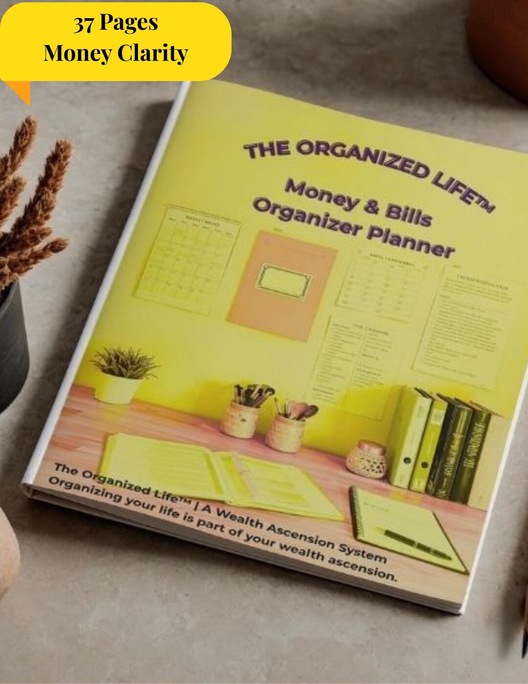 Financial Organizer Printable | Bill & Subscription Tracker (PDF) - Etsy