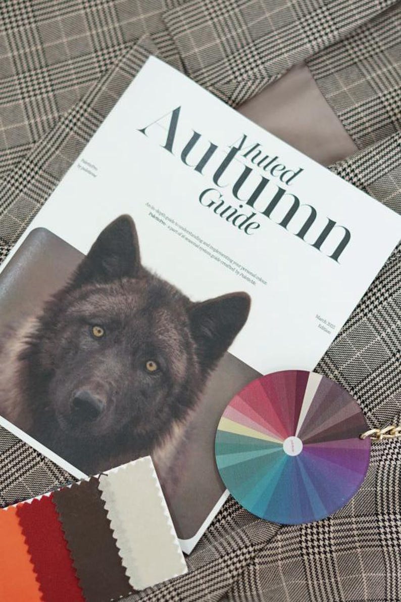 Deep Winter Color Analysis Guide: Personal Palette E-book (16 Seasons ...