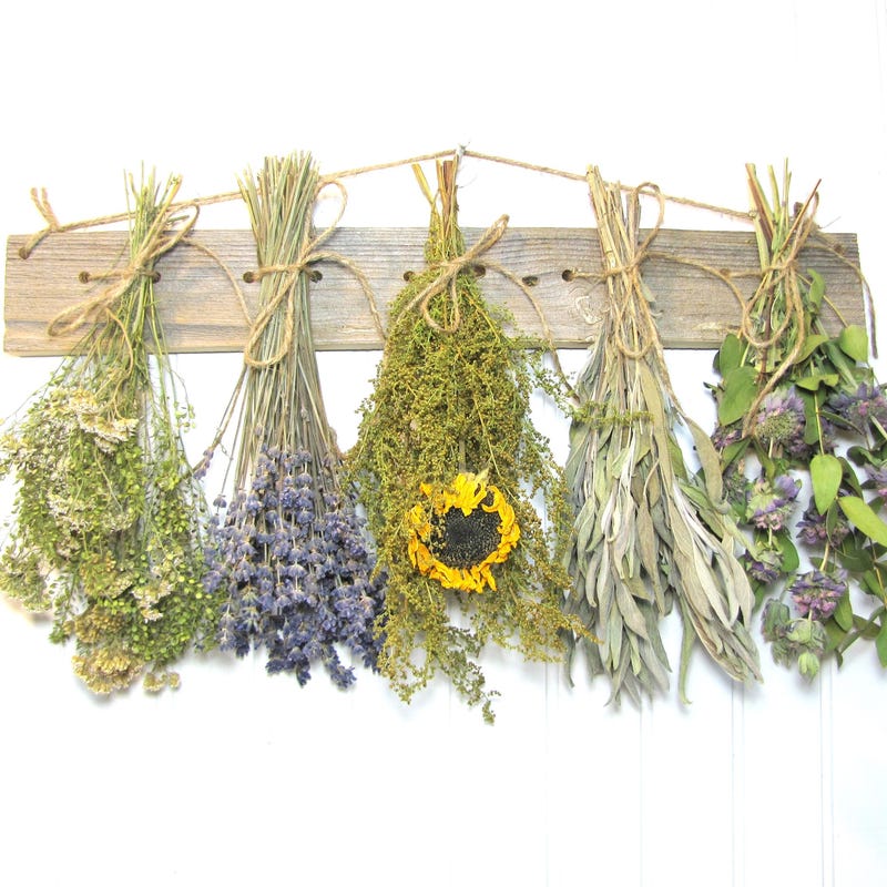 Herb Decor - Etsy