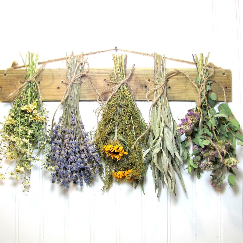 Herb Decor - Etsy