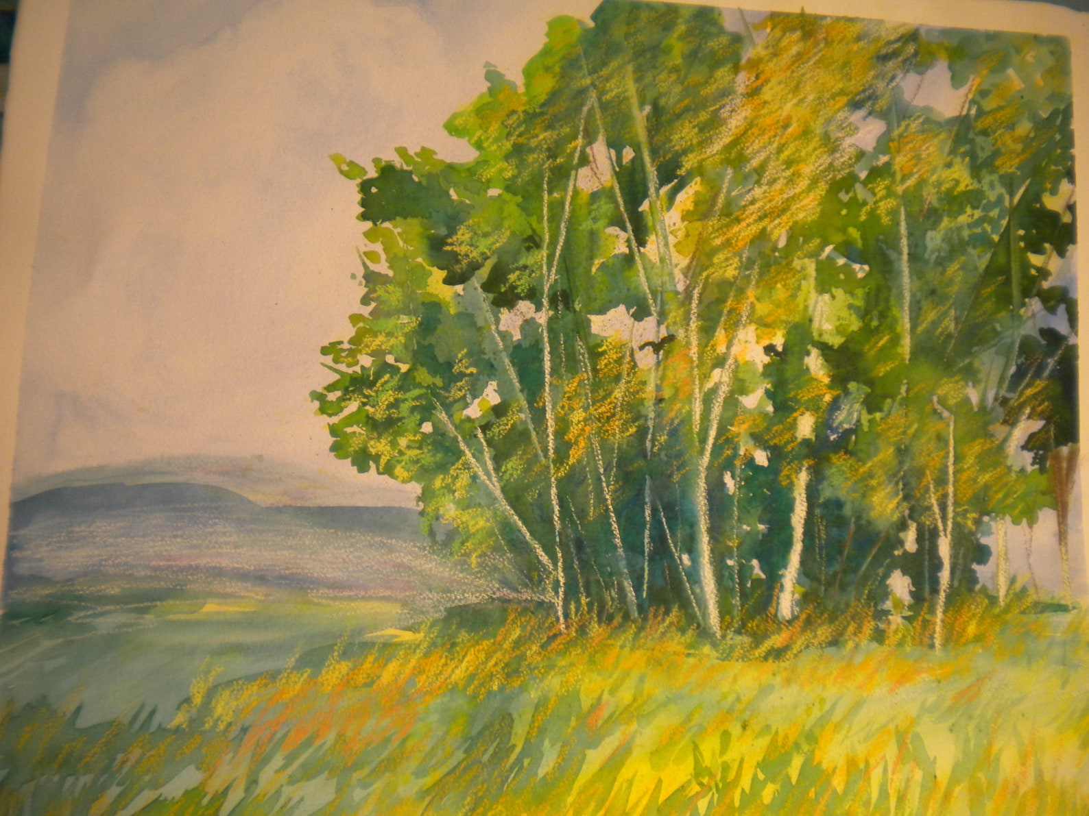 For Lizzie: Custom Painting on St. Simons - Etsy