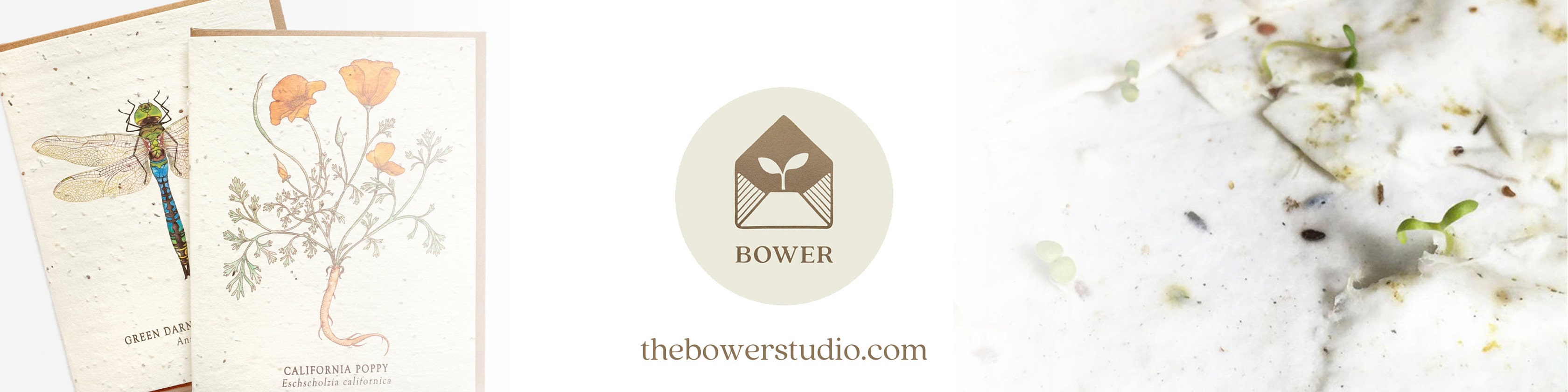 TheBowerStudio - Etsy
