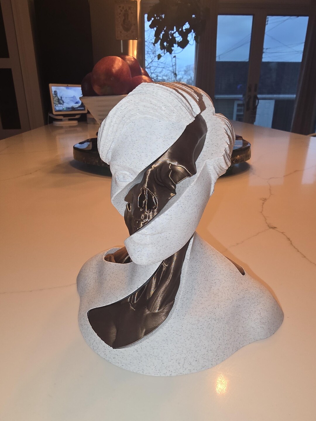 Anatomy Vortex Offcie DESK DISPLAY - Etsy