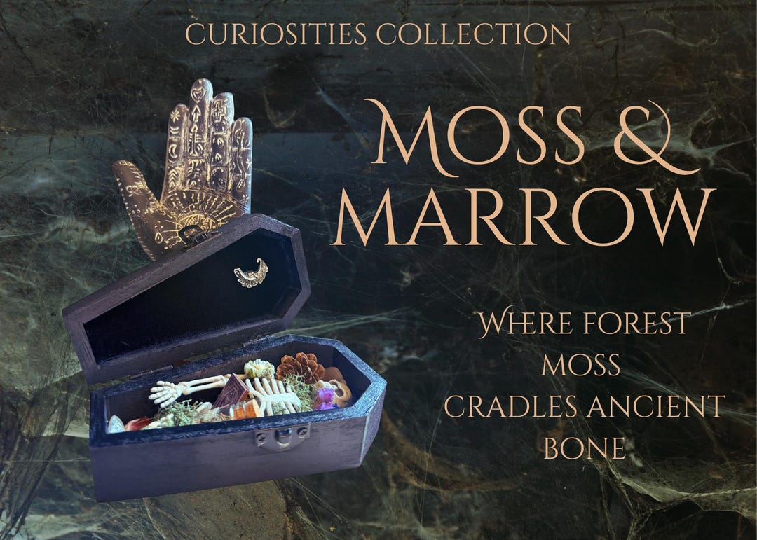 Moss and Marrow Coffin Terrarium – Gothic Botanical Curiosity ...